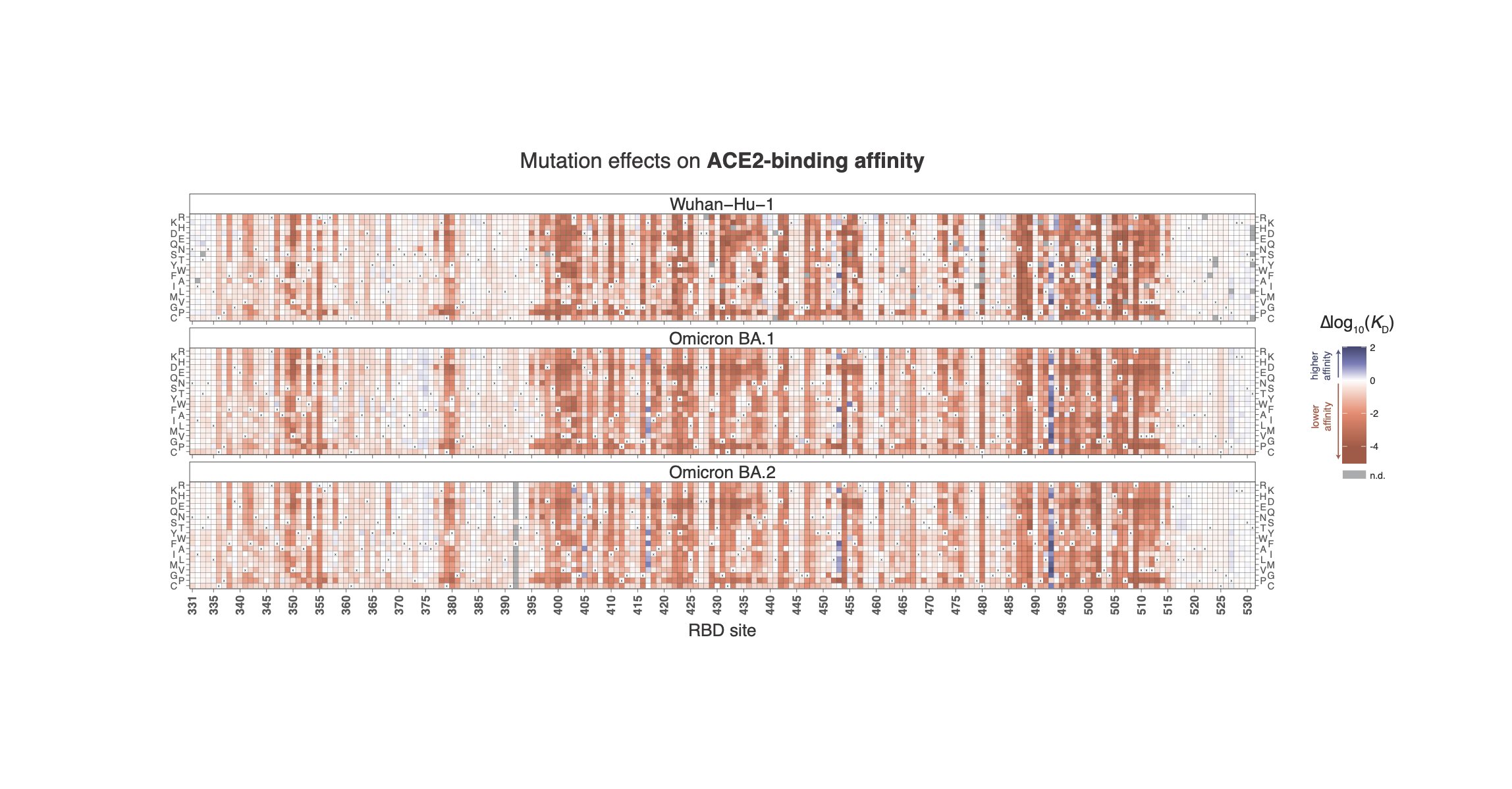 Tyler Starr on Twitter: "We first report the effects of all mutations on ACE2 binding affinity ...