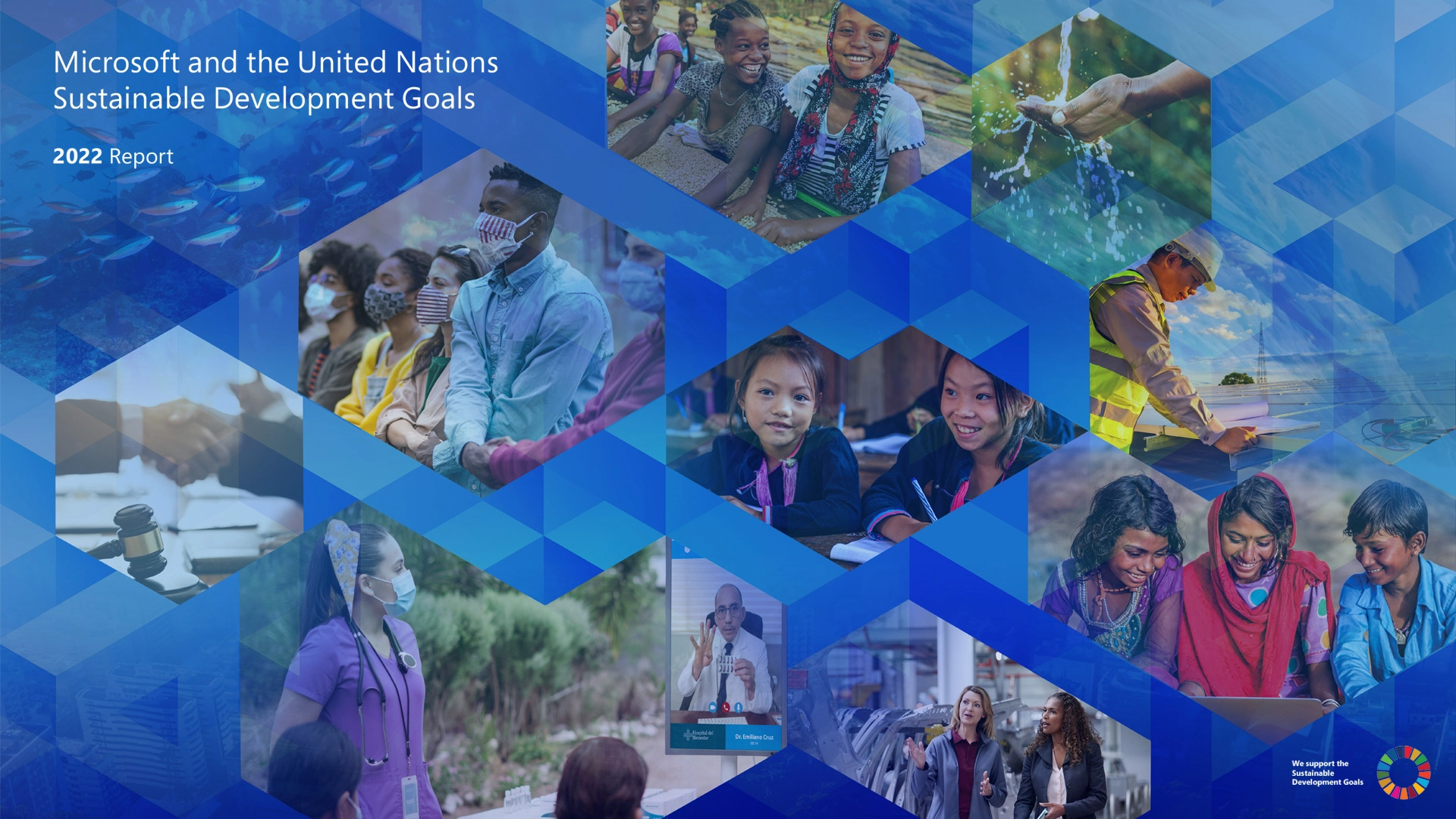 日本マイクロソフト株式会社 on Twitter: "【 SDGs の実現に向け、レジリエントな基盤を目指す協力関係】 #SDGs の発展には、テクノロジーの使用が重要です。 最新レポート ...