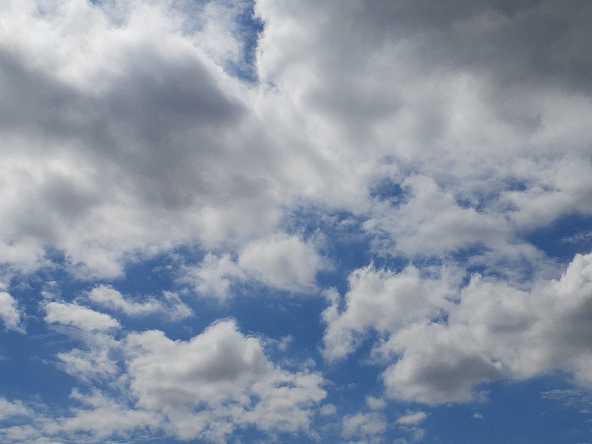 YUU (@YUU59937742) / Twitter