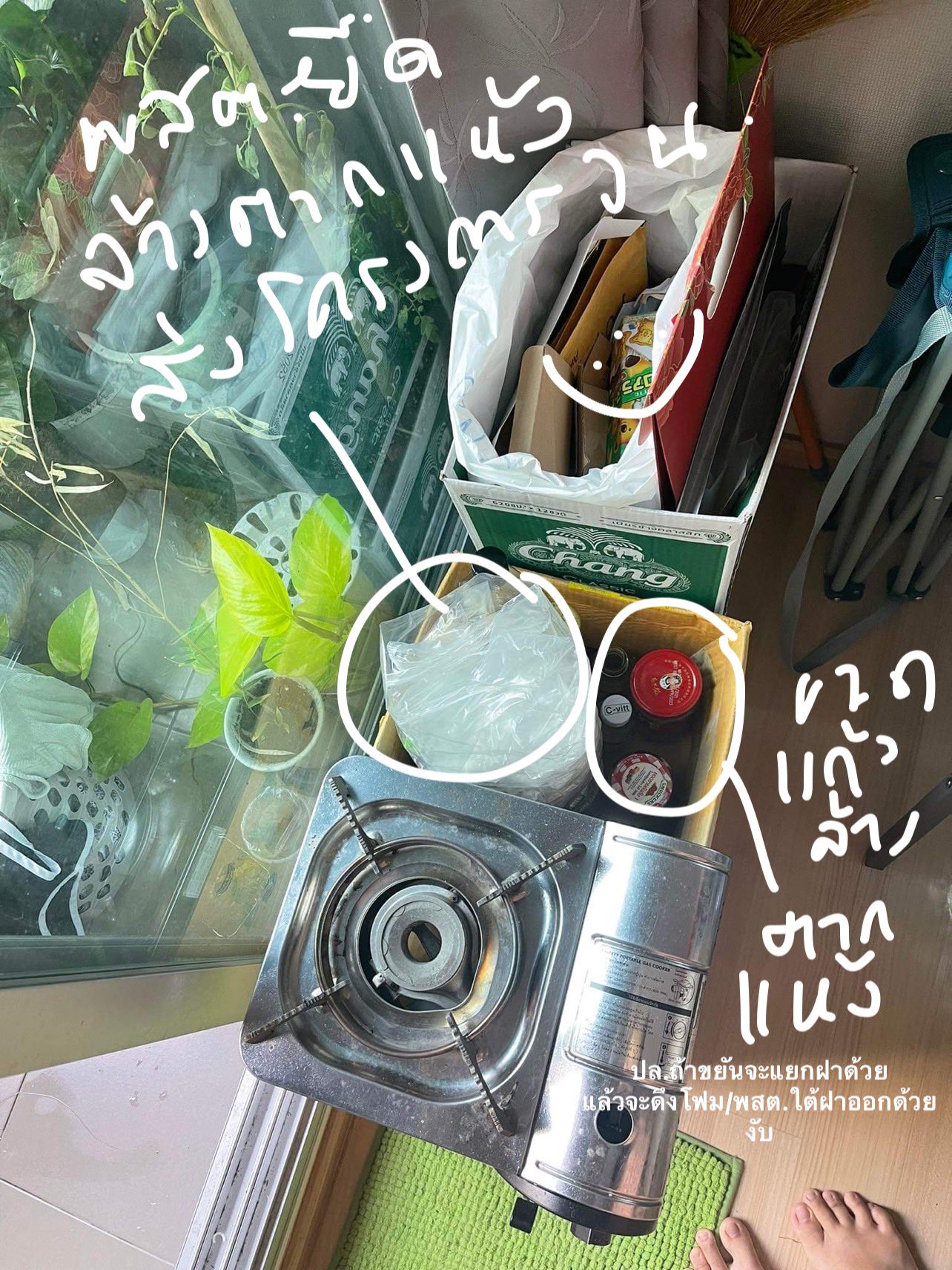 Ploythida Ketkaew (@PloythidaK) / Twitter