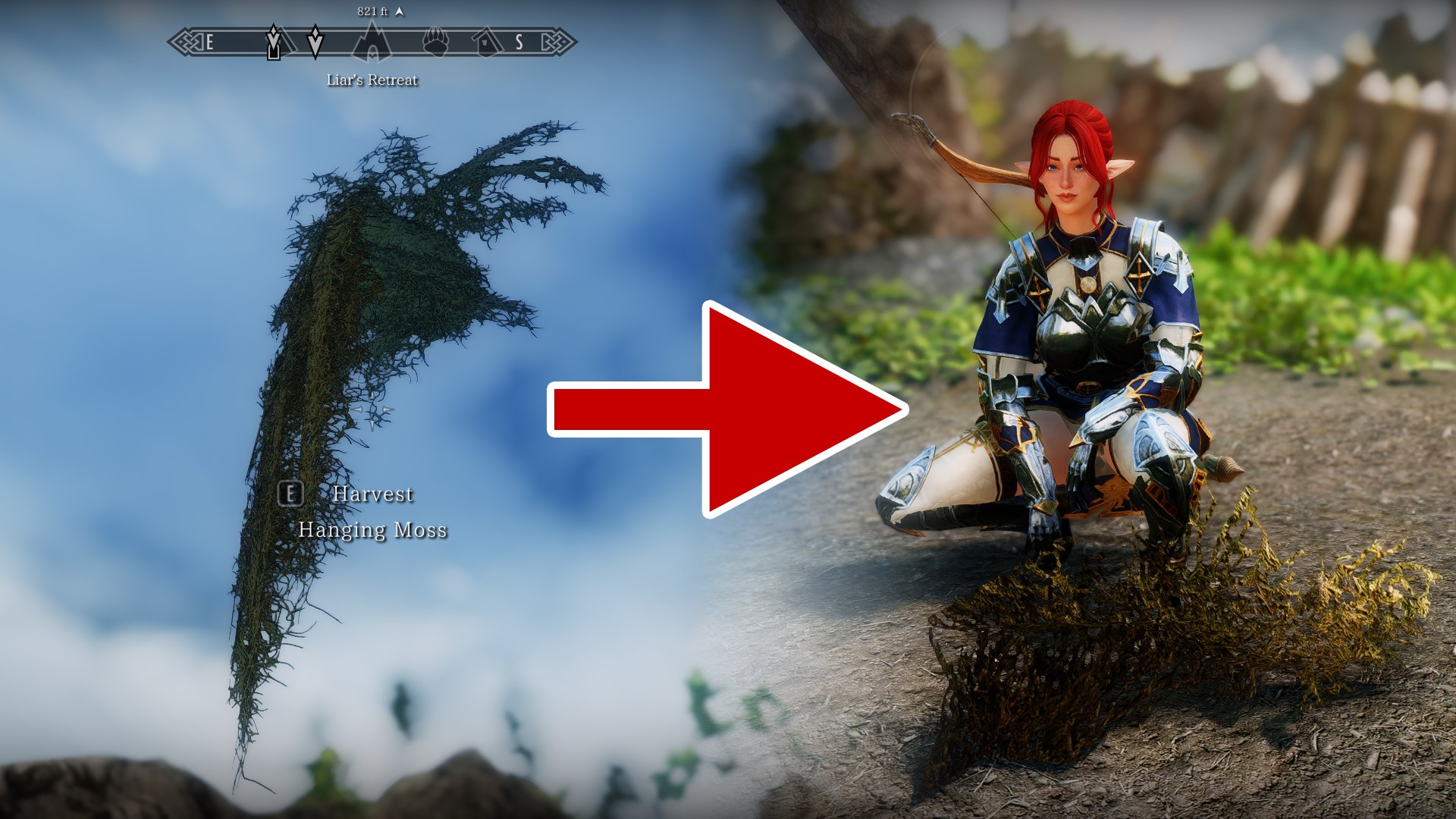 Skyrim SE MOD on Twitter: "【バグフィックス/Floating Hanging Moss Fix - Base Object …】樹木や景観を変えるMODを導入すると ...