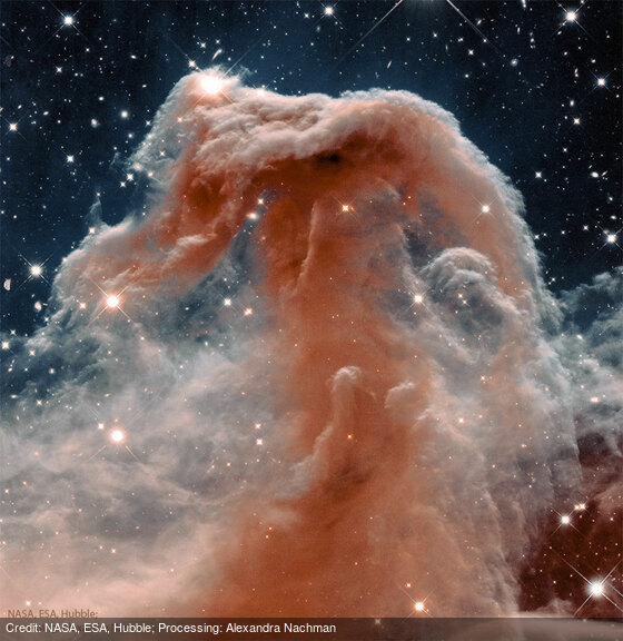 Astronomy Picture Of The Day on Twitter: "[RPT] The Horsehead Nebula in Infrared from Hubble ...