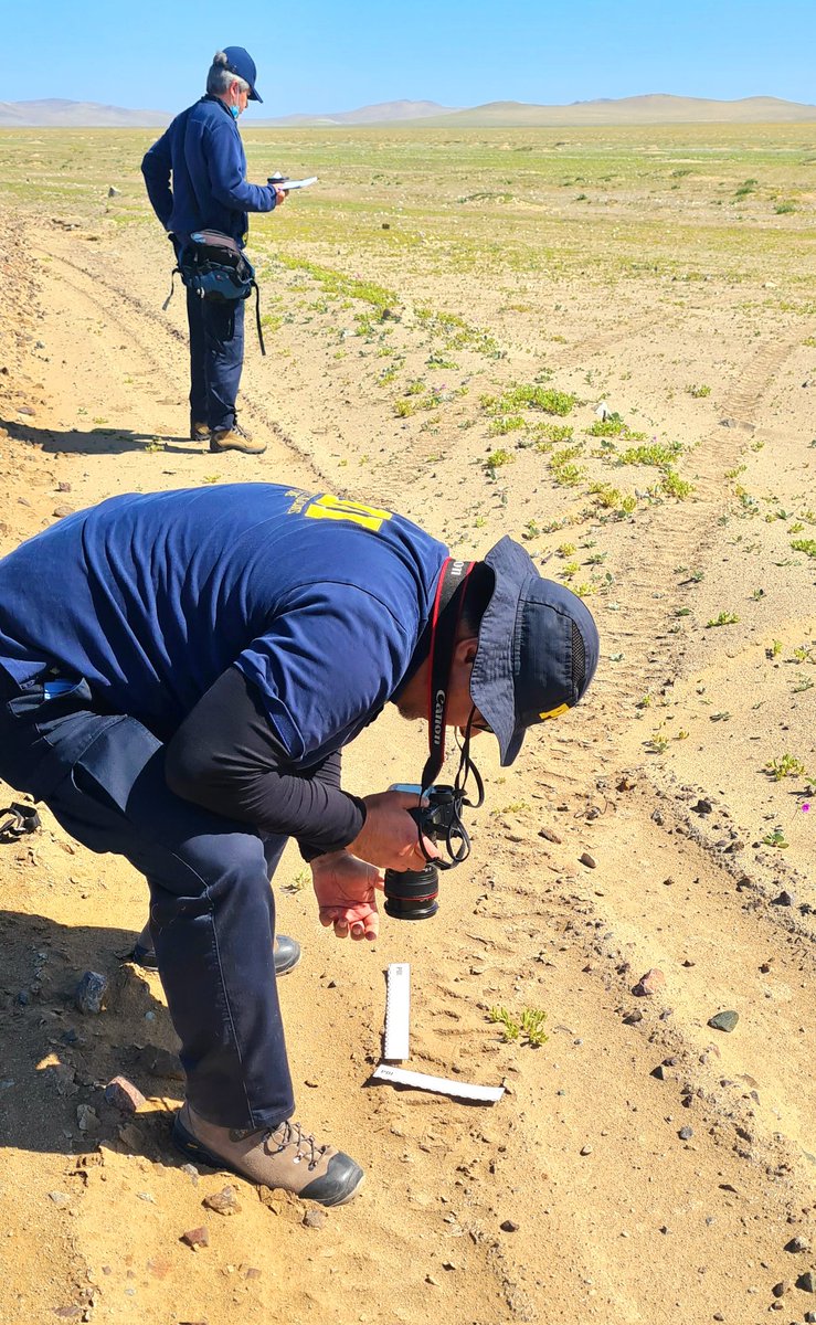Pdi Chile On Twitter Rt Pdi Atacama Detectives De La Brigada
