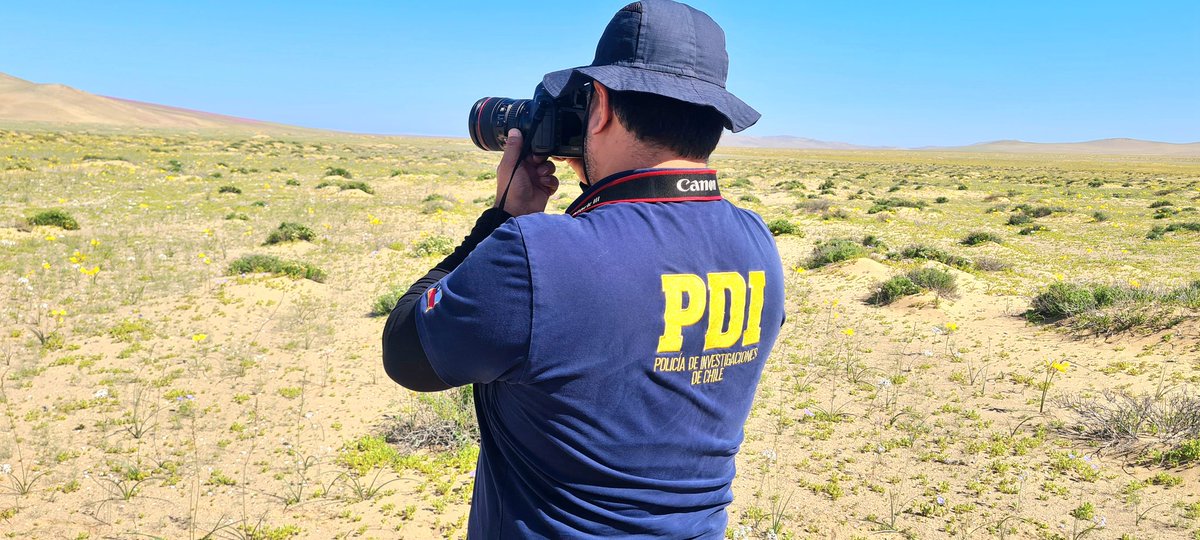 Pdi Atacama On Twitter Detectives De La Brigada Investigadora De
