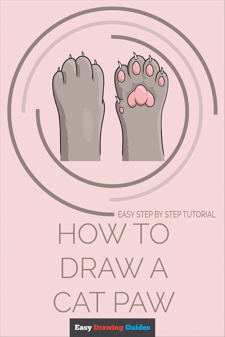 Steps To Draw A Cat Paw