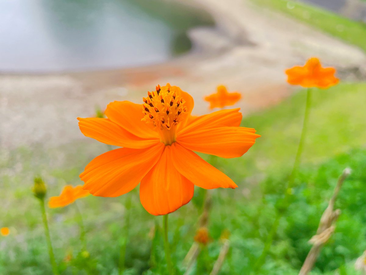 メルシーさん@乗り越える力を身に付けるさんの人気ツイート（新しい順） - ついふぁん！