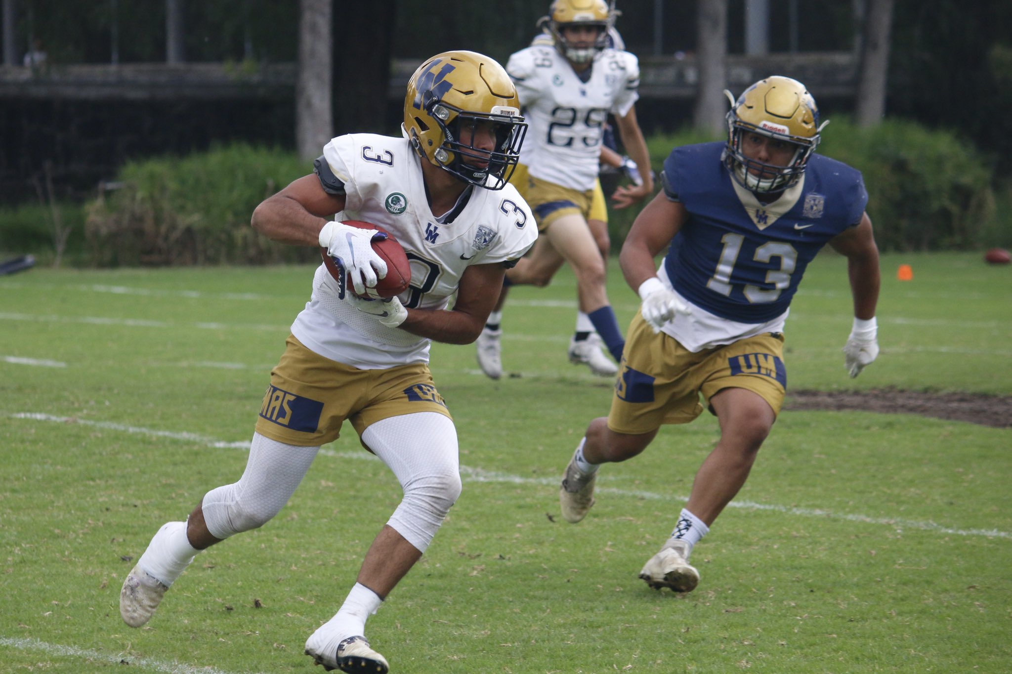 Pumas CU FBA on Twitter: " #FBA95añosUNAM #PumasLaVida ONEFA 2022🏈 #SoyDeporteUNAM https://t.co ...