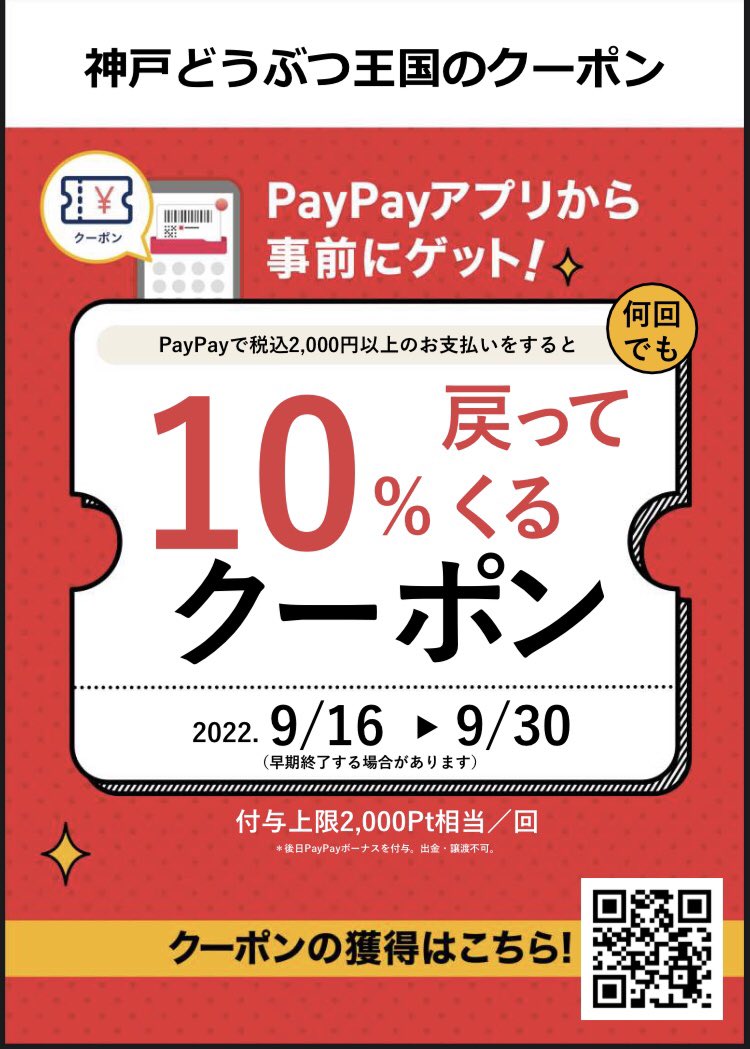 神戸どうぶつ王国 on Twitter: "【paypayキャンペーン中！】 9/30まで、paypayで2,000円以上の決済をされた方に10%返ってくるクーポンをプレゼント♪ 対象店舗は ...