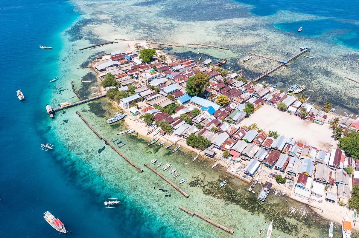 Coral Triangle Center | Inspiring People Saving Oceans