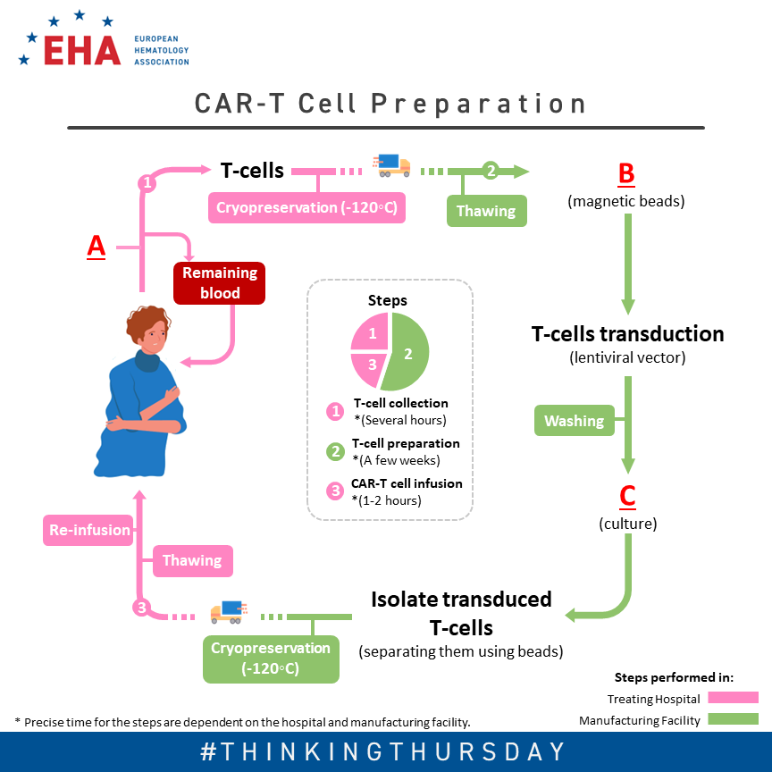 European Hematology Association on Twitter: European Hematology Association on Twitter: