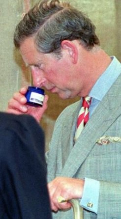 Bruno Aleixo's Threads – Thread Reader App