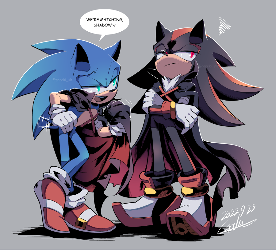 GAREKI on Twitter: "お揃いのハロウィン衣装を着てるソナドウが最高すぎたので描きました https://t.co/EZO3mSOfVE" / Twitter