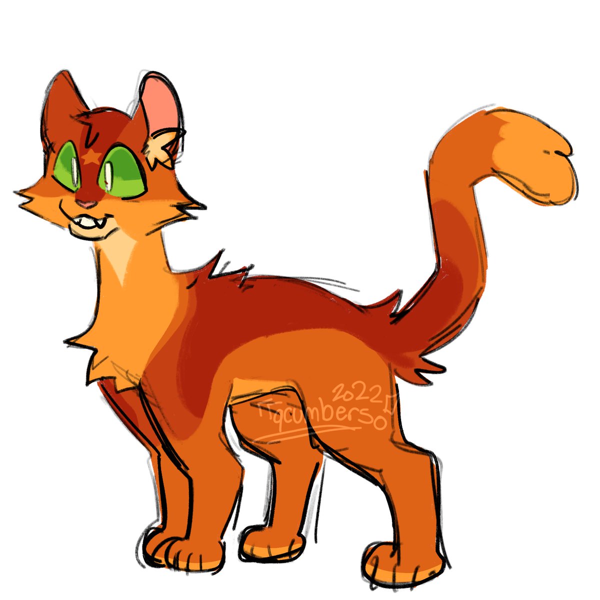 Warriors Cats Firestar