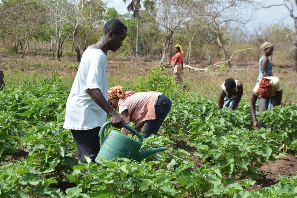 Yield Farming and Staking. Farming and Staking are two broadly ...