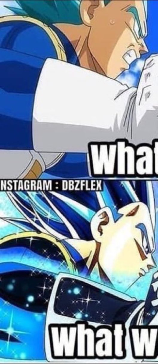 King Vegeta Memes