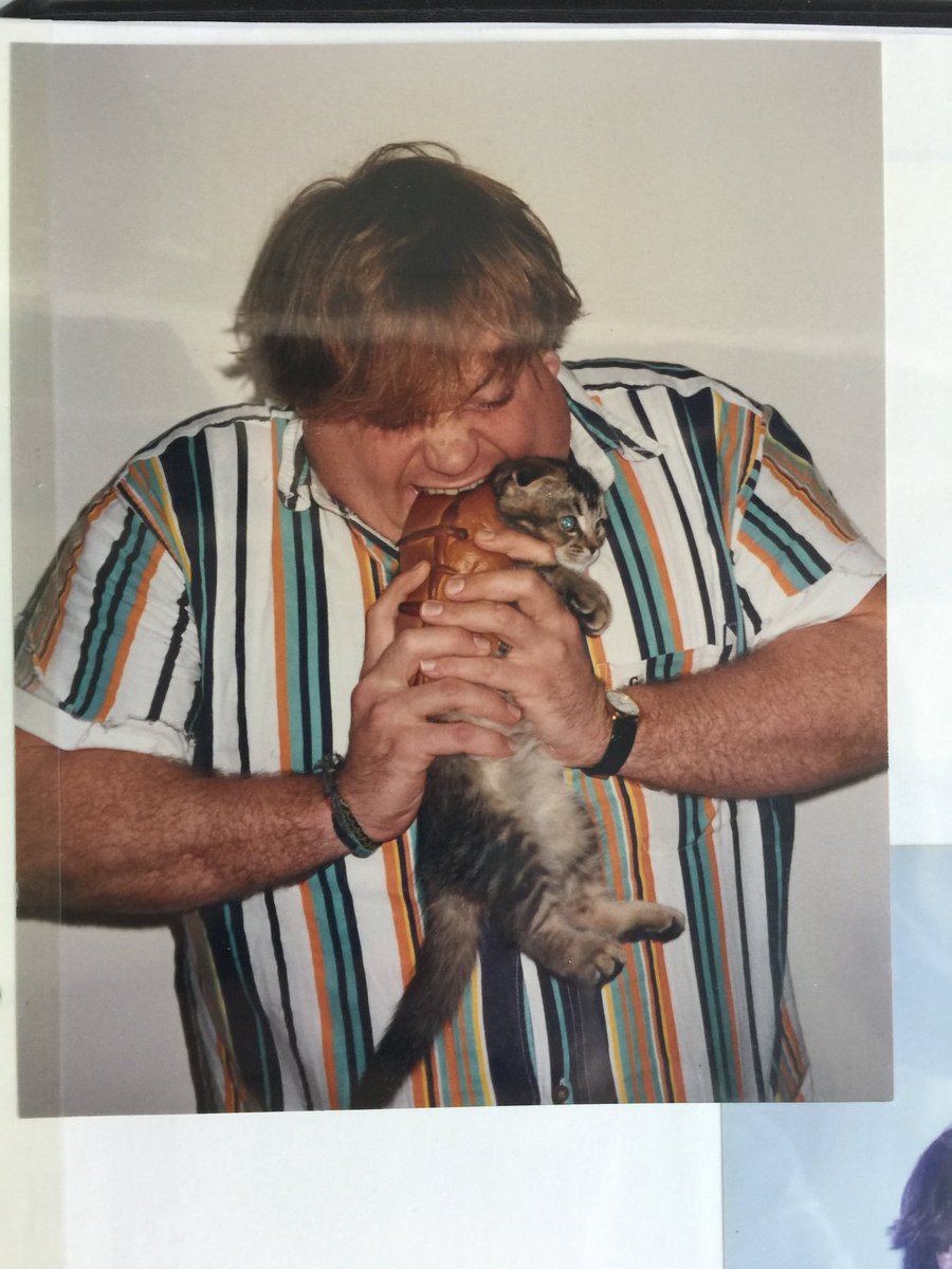 George Bush Eating Cat