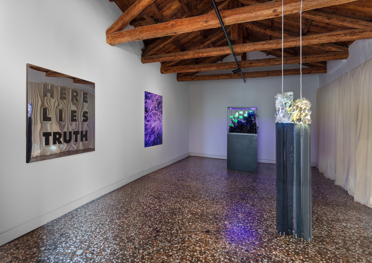 My artwork 'Codex 3 - Neophyte' is on exhibit in Venice as a part of ...