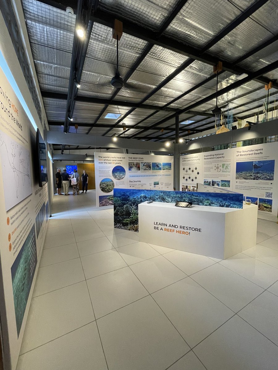 Coral Triangle Center | Inspiring People Saving Oceans