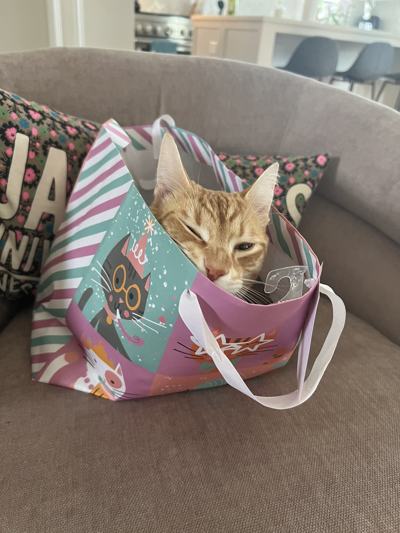 Michael Waltrip (@MW55) / Twitter