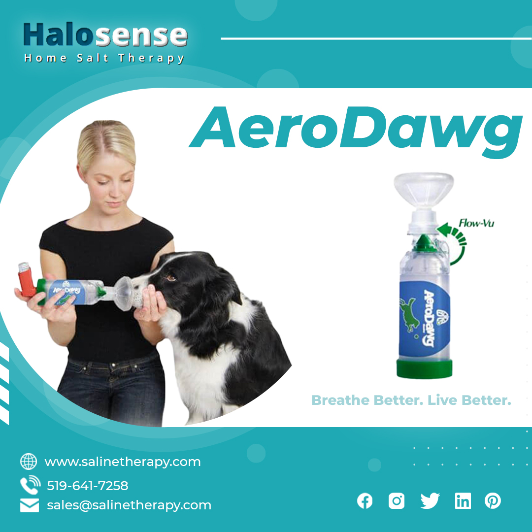 Home Salt Therapy | Halosense Inc on Twitter: "When you use #AeroDawg, you will feel liberated!🤩 ...