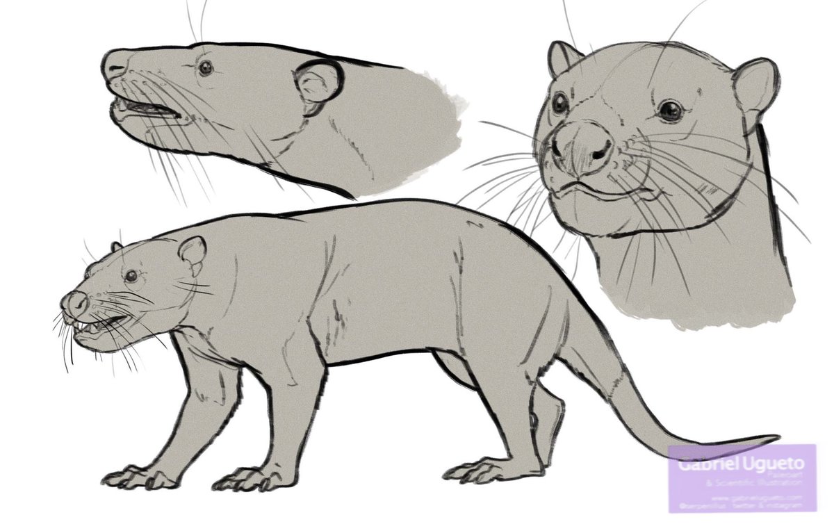 Gabriel N. U. (@SerpenIllus) さんのイラスト・マンガ作品まとめ (1,284 件) - Twoucan