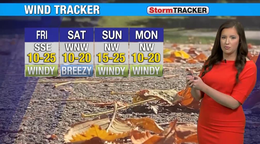 Lydia Blume on Twitter: "Windy weekend ahead!! 💨 https://t.co ...