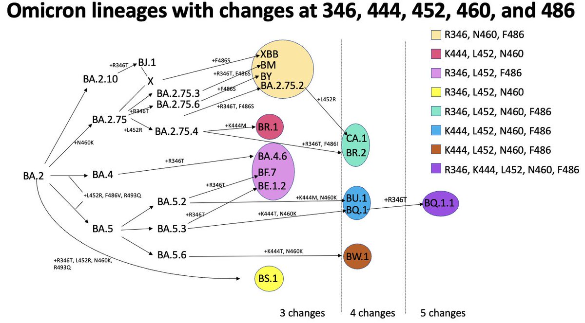 Thread by @EricTopol on Thread Reader App – Thread Reader App