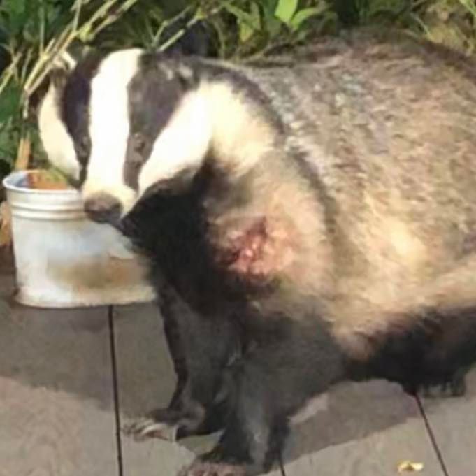 Mr Lumpy & Friends's Threads – Thread Reader App