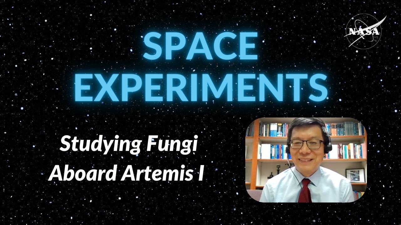 NASA Space Science on Twitter: "Fungi can survive and grow in high radiation environments, which ...