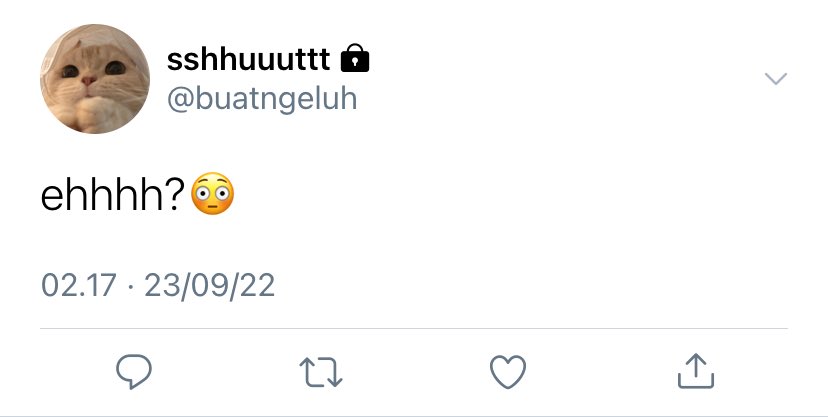 vy. privatter up!! on Twitter: "252. https://t.co/6qYRWxtNl0" / Twitter