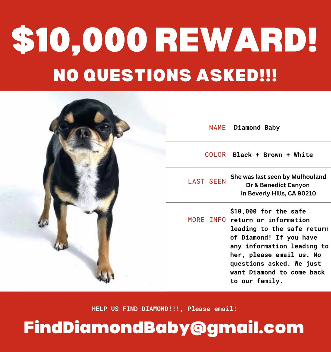 Diamond Baby is family. ️ If anybody has information, please help us ...