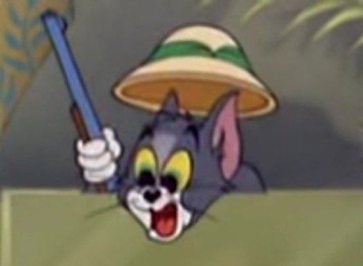 Tom And Jerry With Guns