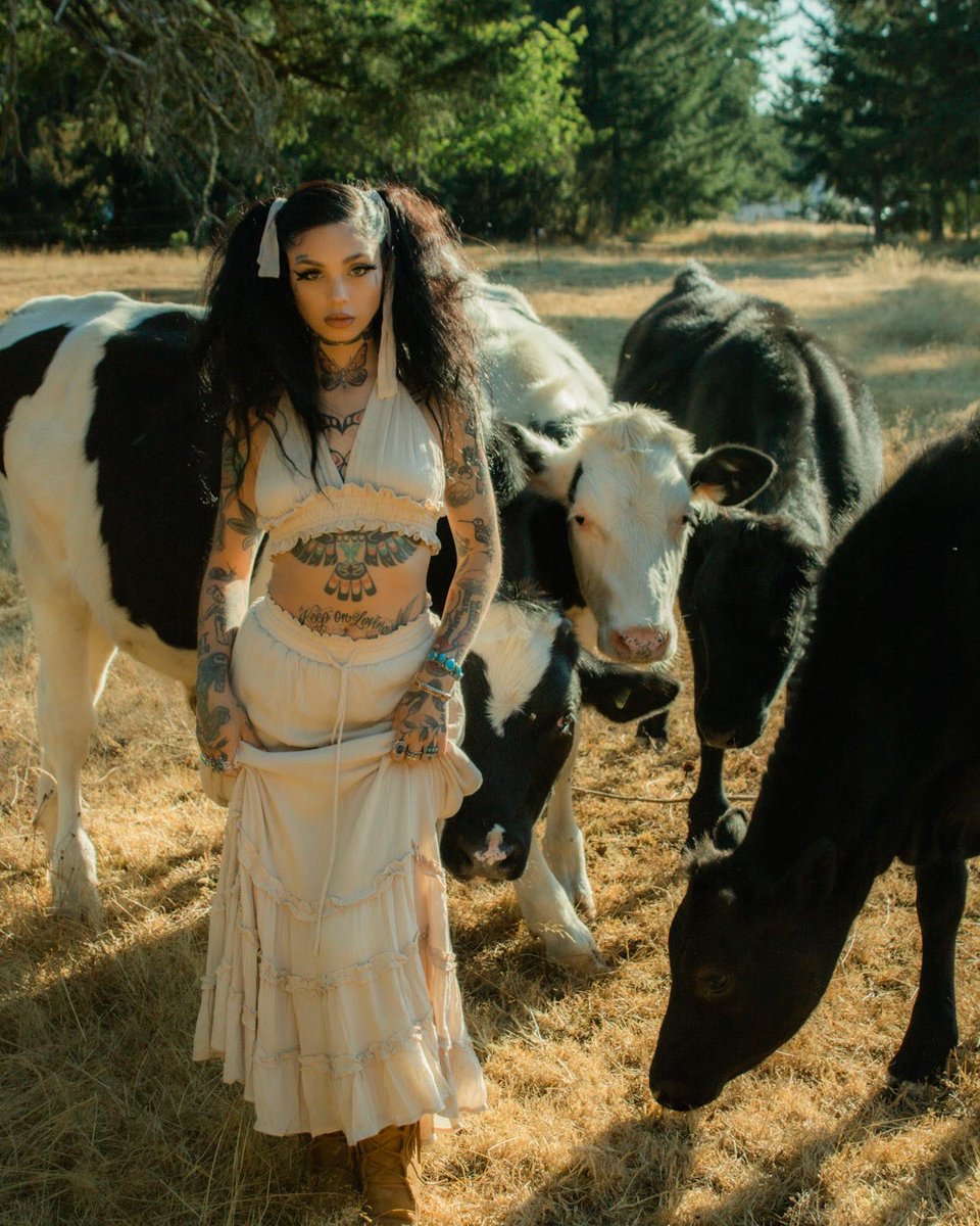 Taylor White On Twitter Rt Taylorwhitetv 🐄🌲☁️