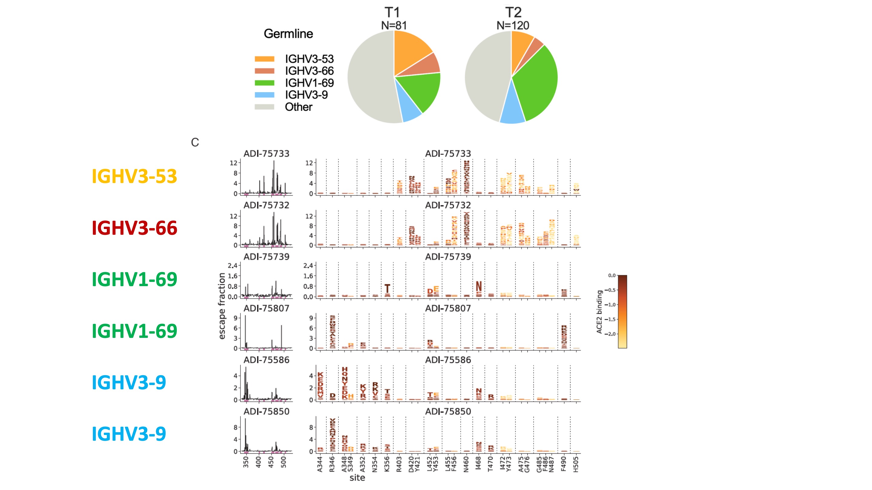Bloom Lab on Twitter: "This study on response to Omicron after #SARSCoV2 vaccination provides ...