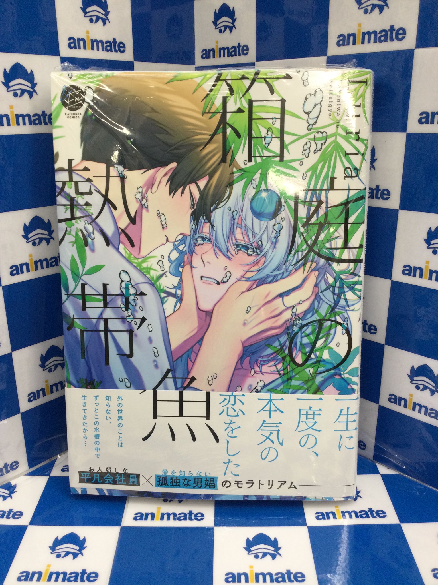 アニメイト池袋本店 On Twitter 【新刊情報】 Luria 先生「 箱庭の熱帯魚」が好評発売中です💙 4階新刊コーナーをぜひ