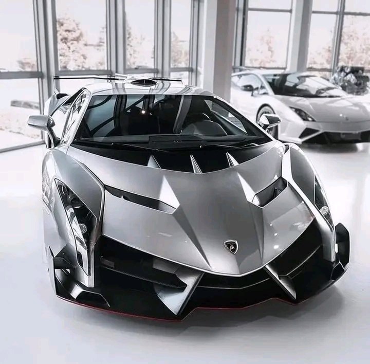 ꧁スカーレット꧂29K on Twitter: "RT @AnaGarciamex: https://t.co/8IZ6DBB4Zj ...