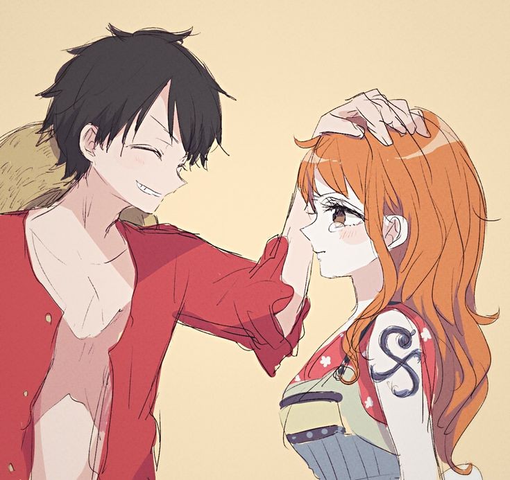 One Piece Luffy And Nami Relationship