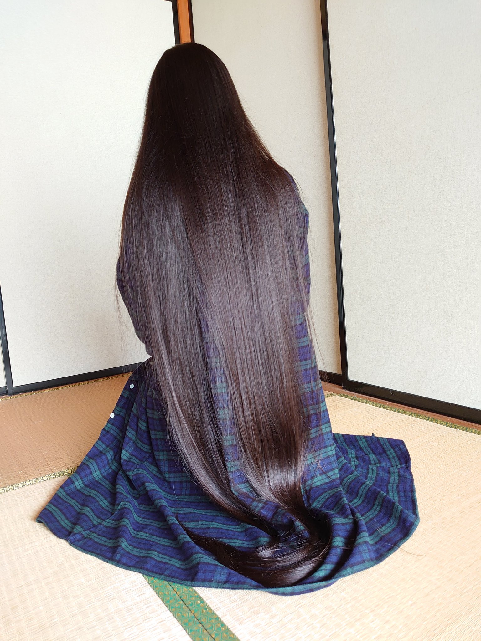 @ドットコム🌱 on Twitter: "なにがみえた？ https://t.co/UjYNpVxNgm" / Twitter