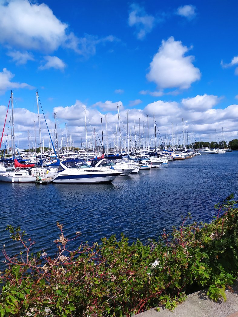 Gayle Sequeira on Twitter: "Toronto in blues https://t.co/5qTY7PI0JF" / Twitter