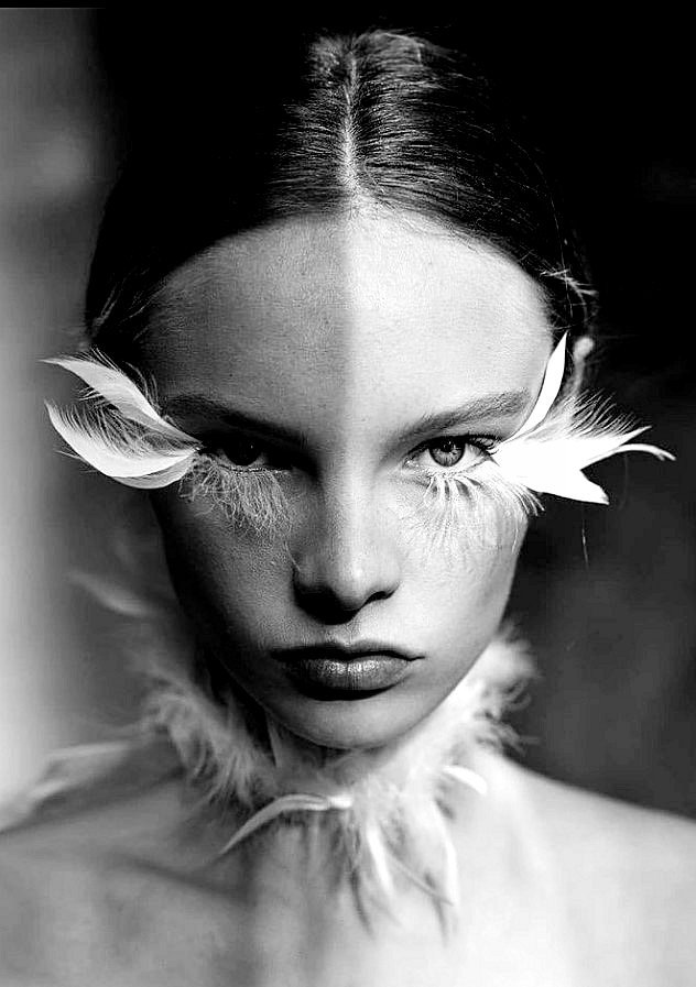 Stéphane James on Twitter: "She's a feather for each wind that blows... https://t.co/Iyil1lpElI ...