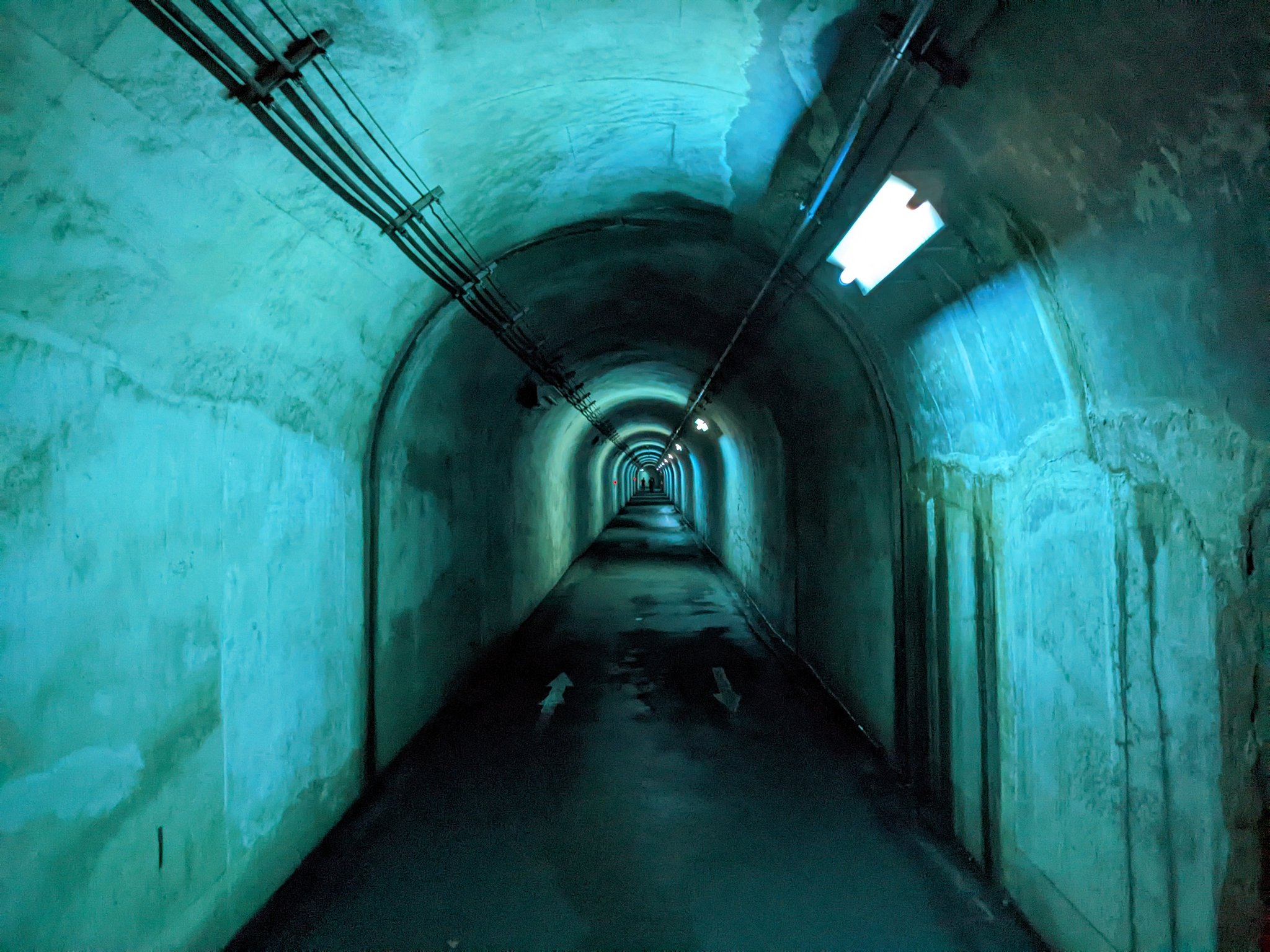 Taichi_trip on Twitter: "なんかホラー映画みたいでゾクッとする… https://t.co/cMeKyooF2k" / Twitter