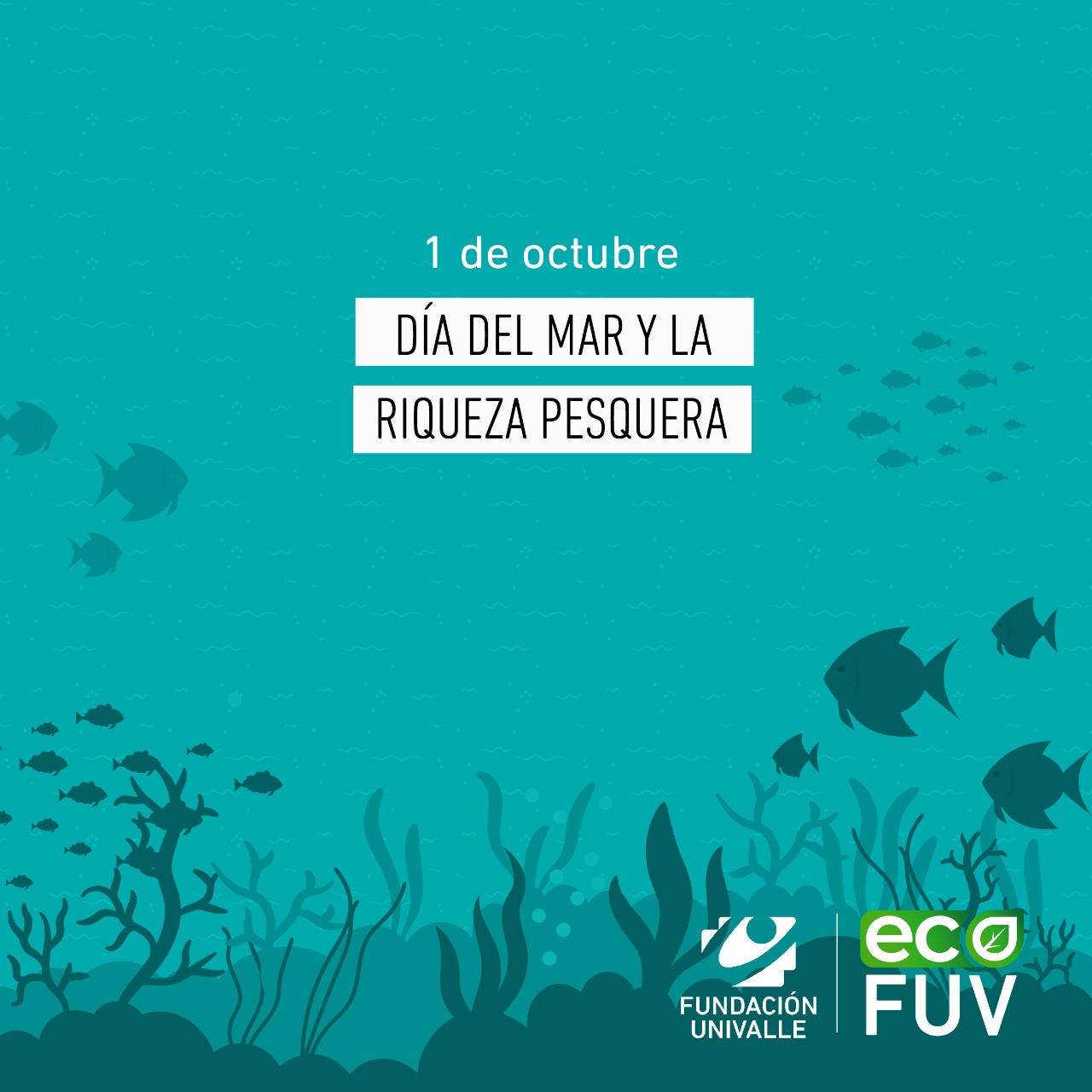 Fundación Univalle on Twitter: Fundación Univalle on Twitter: