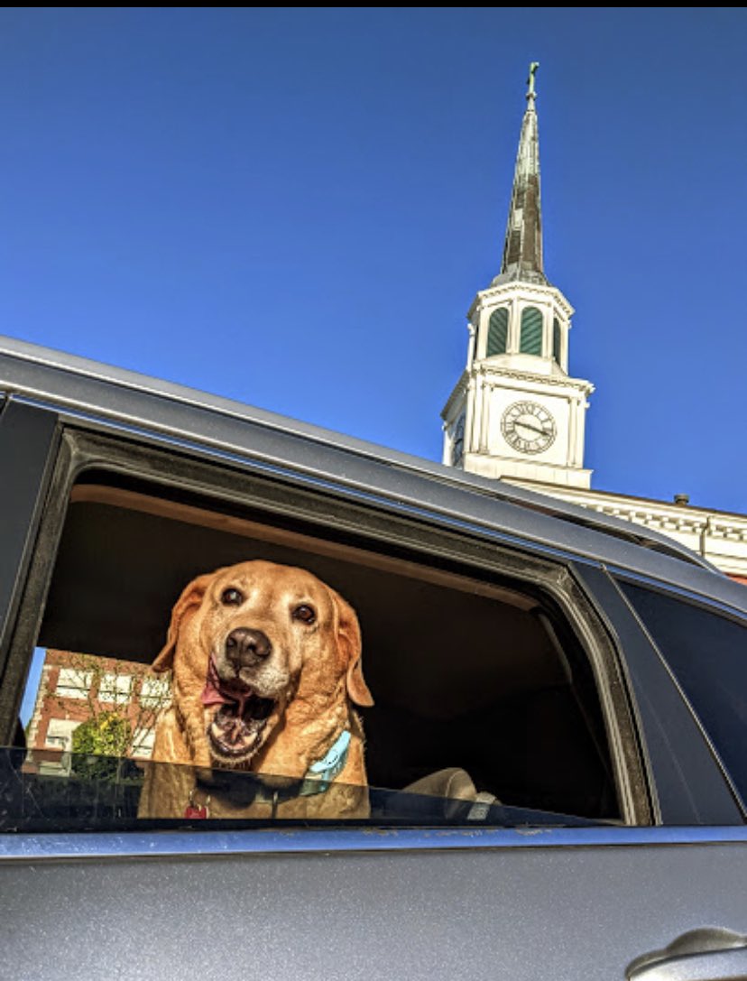 Basilica St. Joseph on Twitter: "Blessing of the Animals! St. Francis ...