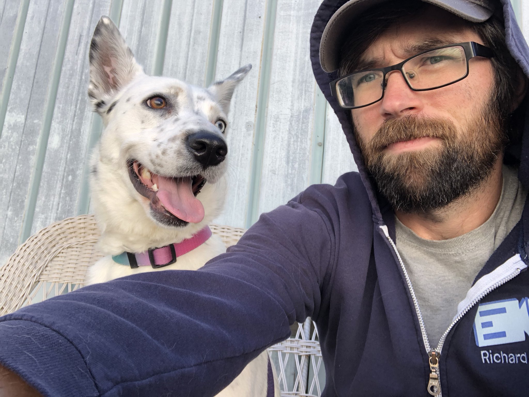 Richard Hammer on Twitter: "My ex wife is getting remarried today and she had the audacity to ...