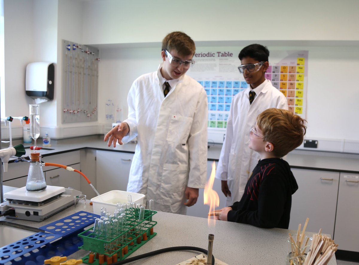 Hampton School on Twitter: "Budding scientists are enjoying a morning of wonder and discovery in ...