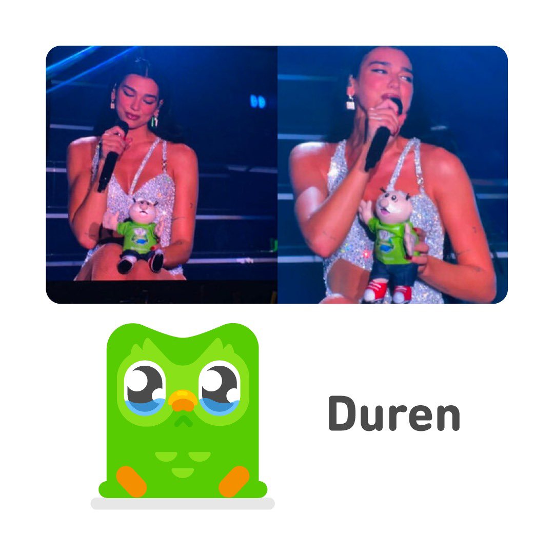 Duolingo Español on Twitter: "Yo solo quería que aprendieras español. 💔 ...