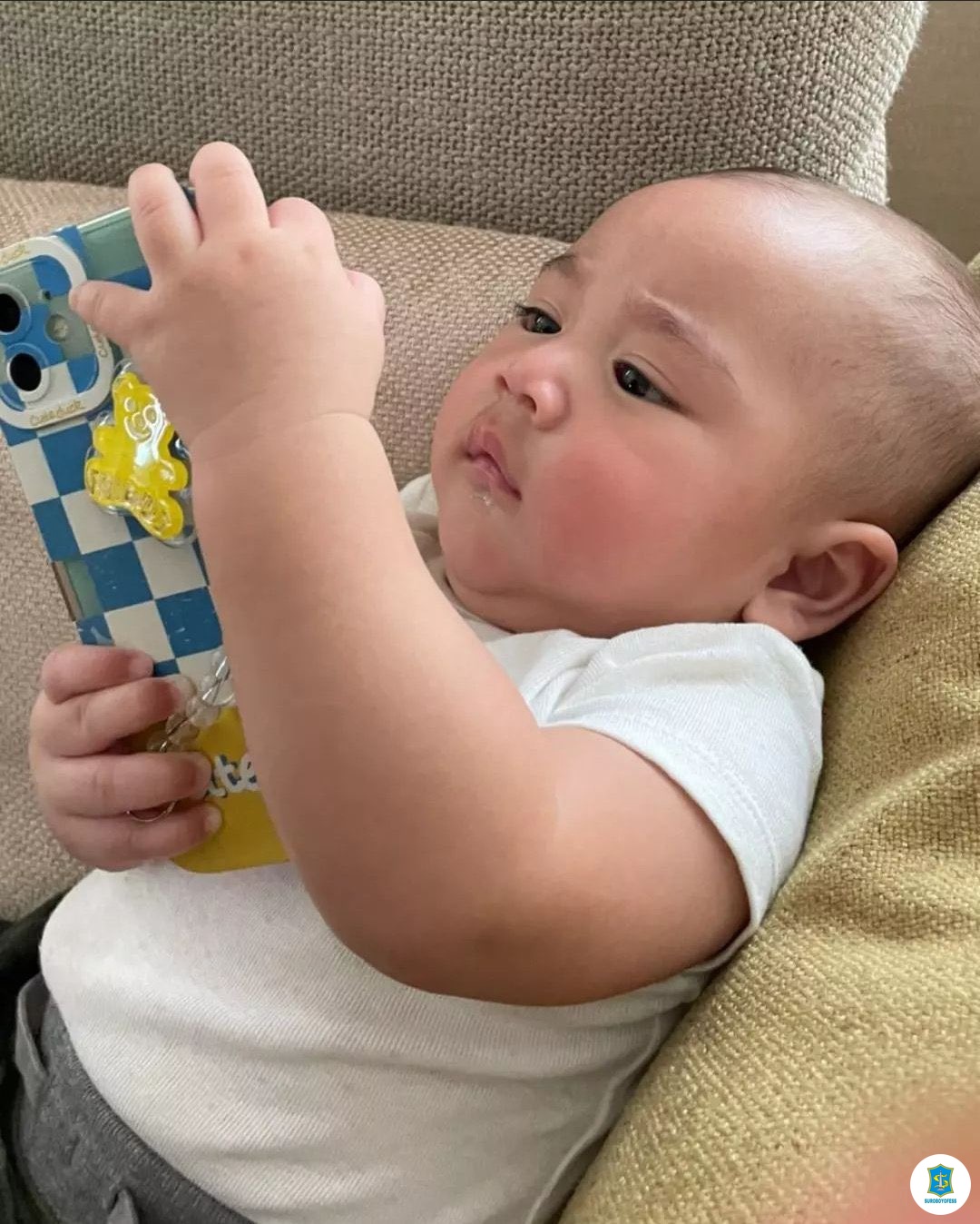 🦈 SUROBOYOFESS 🐊 on Twitter: "-rek pap foto terakhir di galeri https://t.co/TJBm6mlMCL" / Twitter