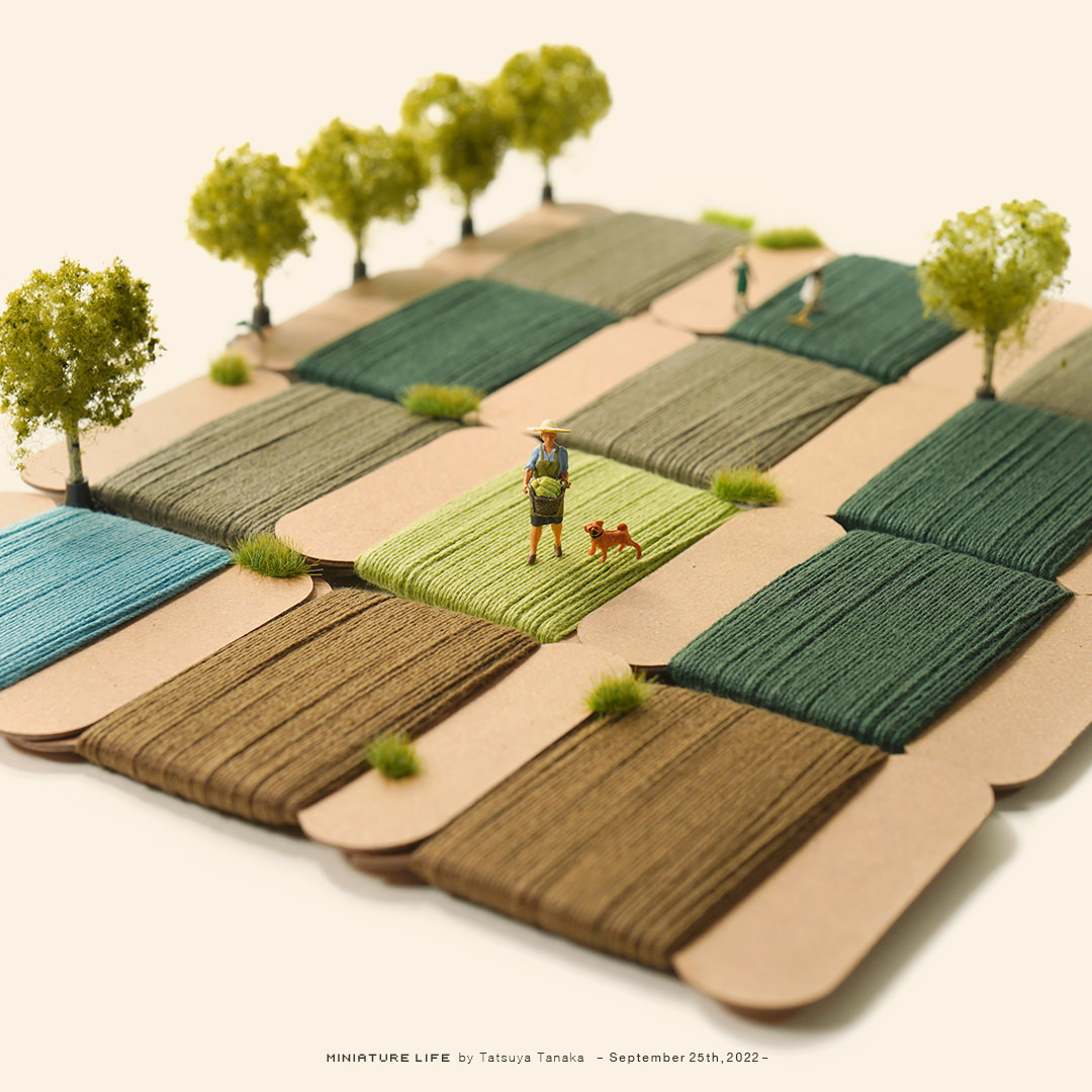 Tatsuya Tanaka 田中達也 on Twitter: "糸で農業を“いと”なむ https://t.co/NempE9YAbk" / Twitter