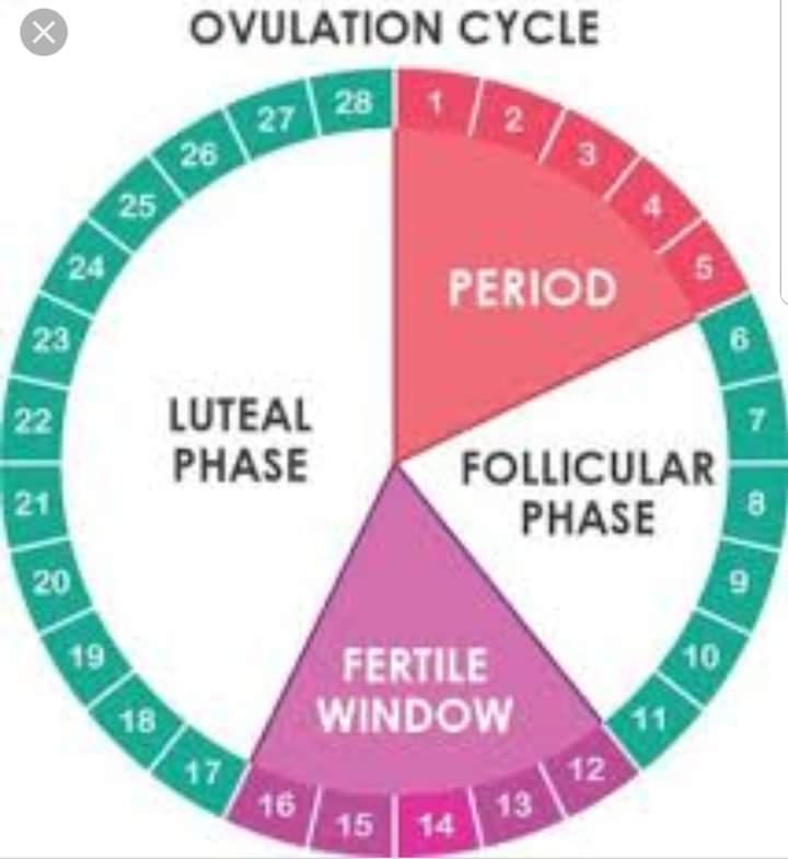 MZUNGUKO WA HEDHI NA KIPINDI CHA KUTOKEZA... Wasichana wengi hawaelewi ...