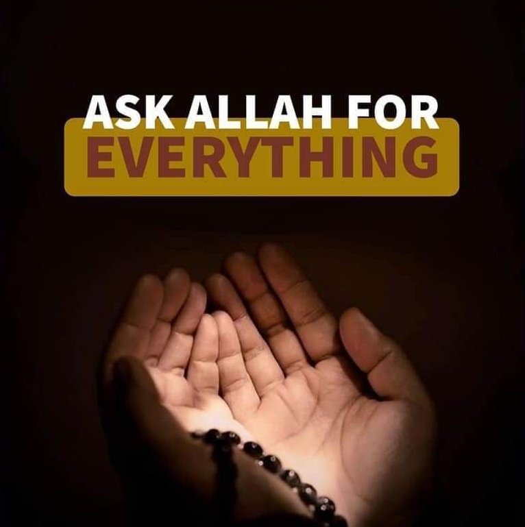 》Ask Allah For Everything.🤍🕊 》Must read.🖤🌹 - المسلسل من Cool_Ustaaz ...